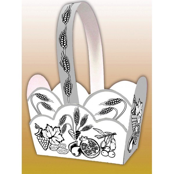 itsira_salsala_7_aminim-600x600