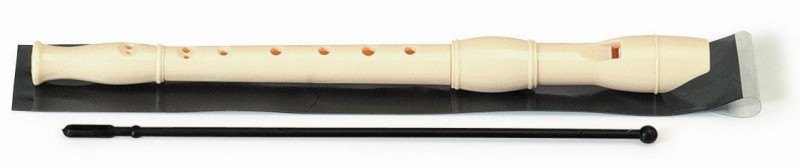 חליל עם נרתיק | RECORDER abs